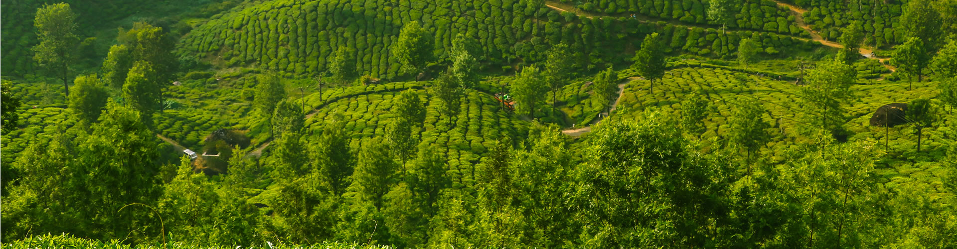 Tourism - The Peria Karamalai Tea & Produce Company Limited.The Peria ...