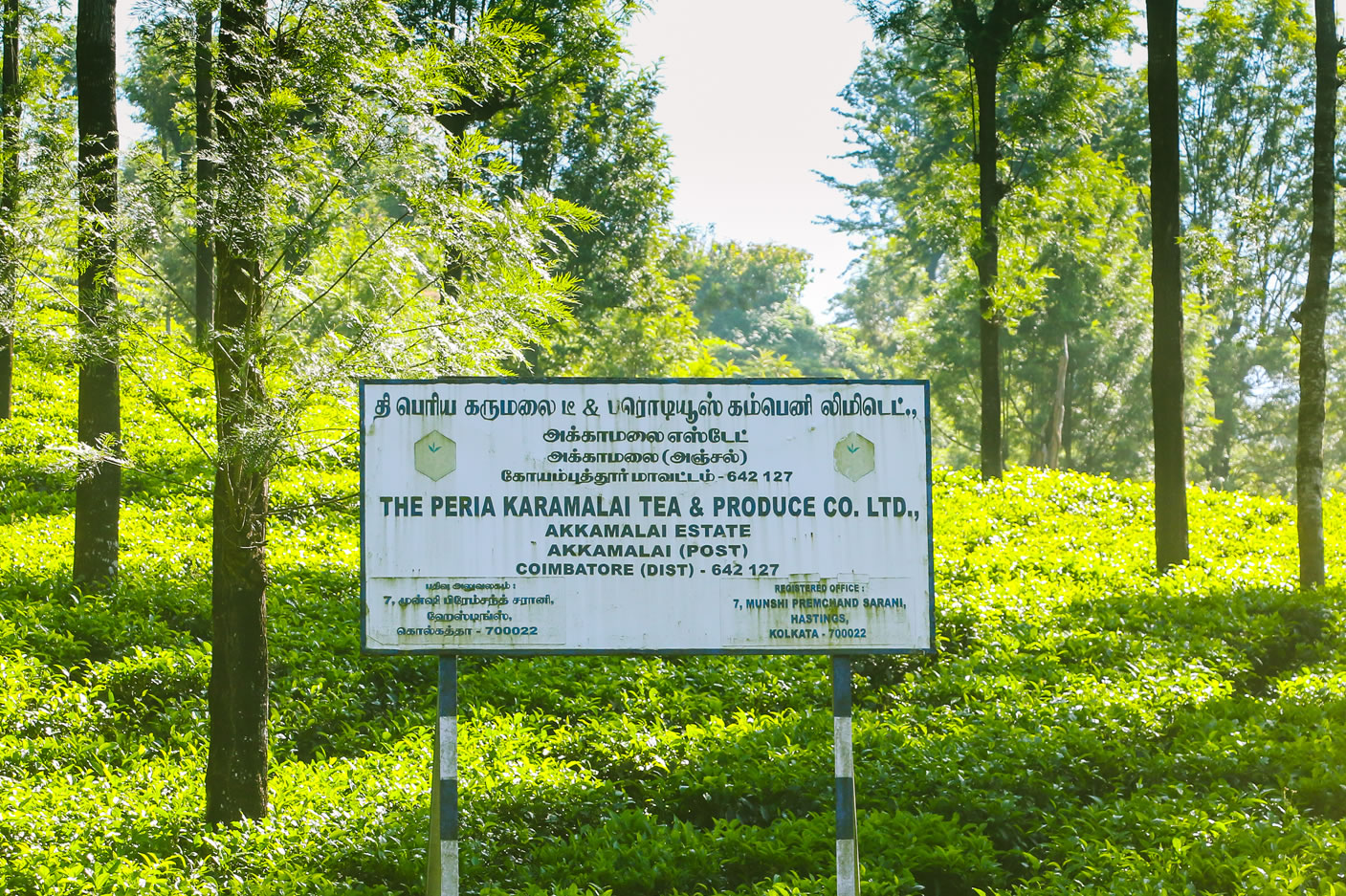Valparai Tea Estate StayThe Peria Karamalai Tea & Produce Company Limited