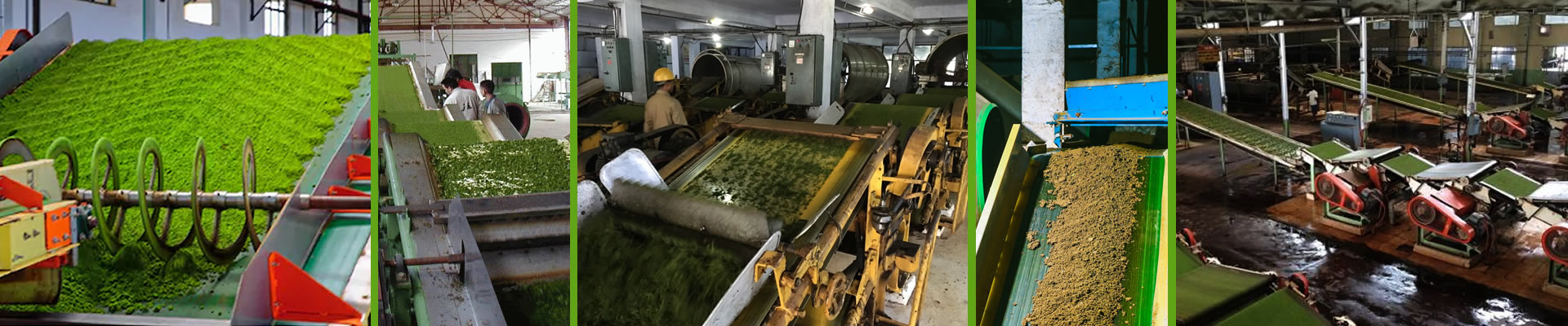 Factory - The Peria Karamalai Tea & Produce Company Limited.The Peria ...