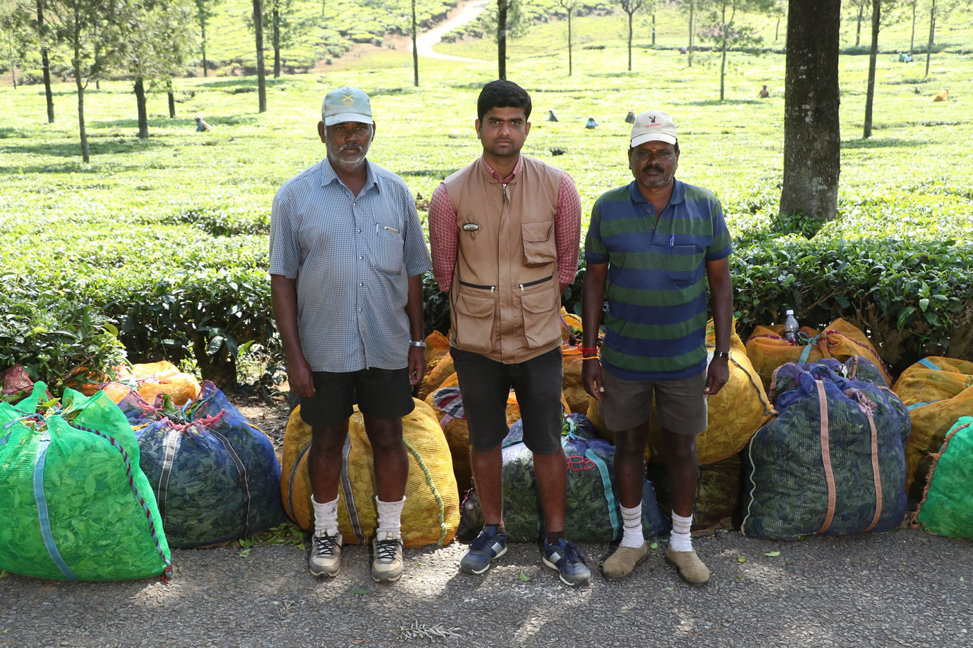Karamalai Estate - The Peria Karamalai Tea & Produce Company Limited ...
